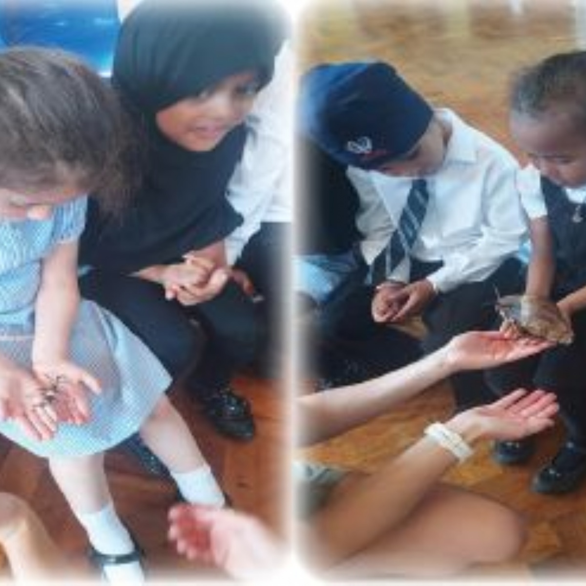 Brookside Primary - EYFS Go Wild with ZOO LAB!